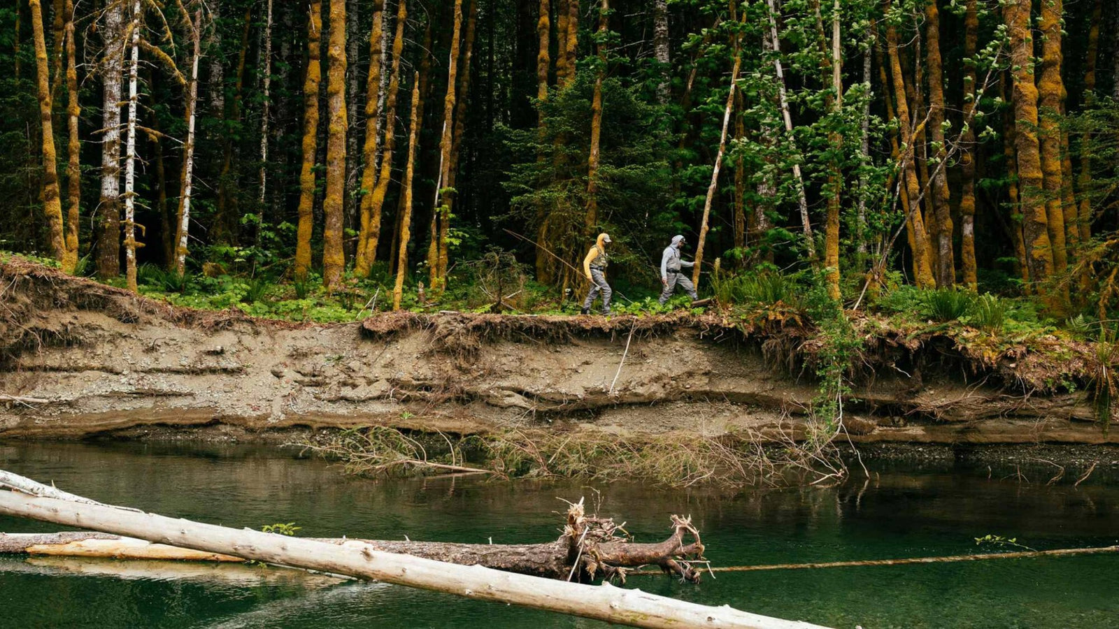 Front Range Anglers - Fly Fishing Gear, Trips, and Lessons